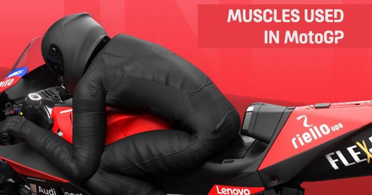 Strong enough for MotoGP™? Check out the muscles you need...