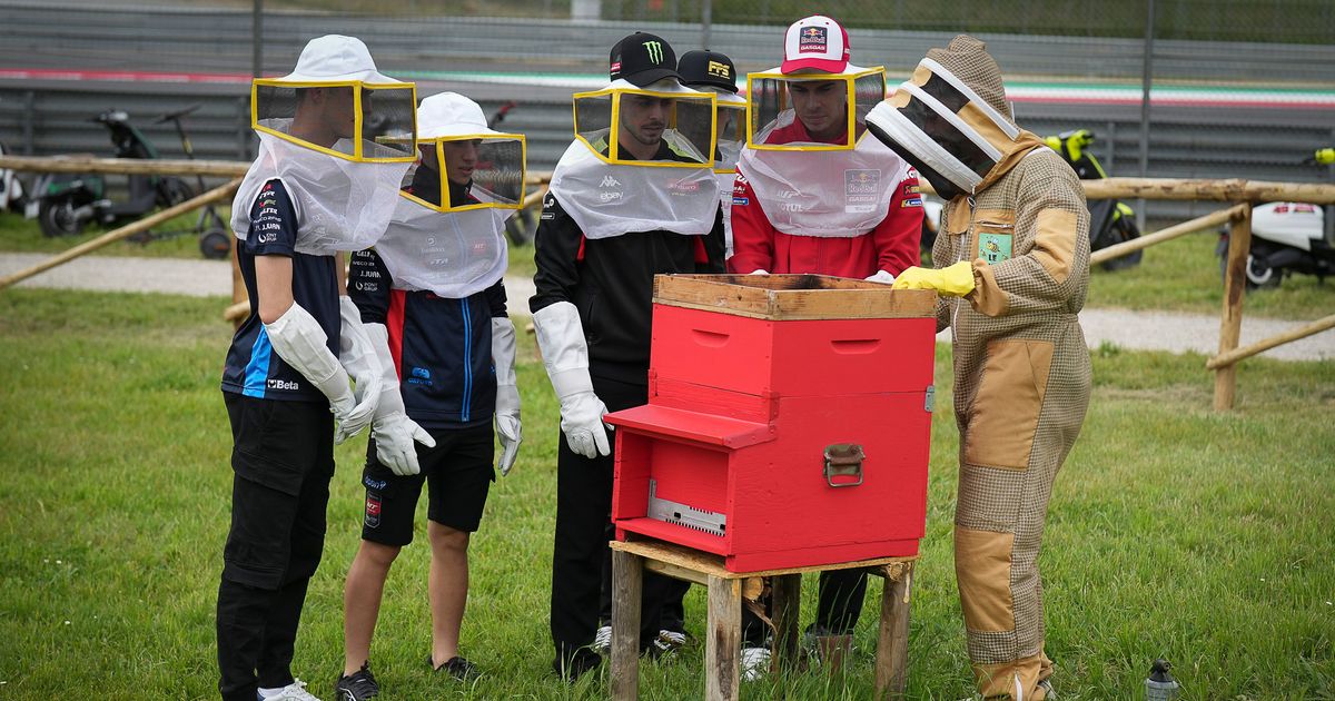 Riders enjoy a new experience thanks to Mugello's 'Bee Corner'