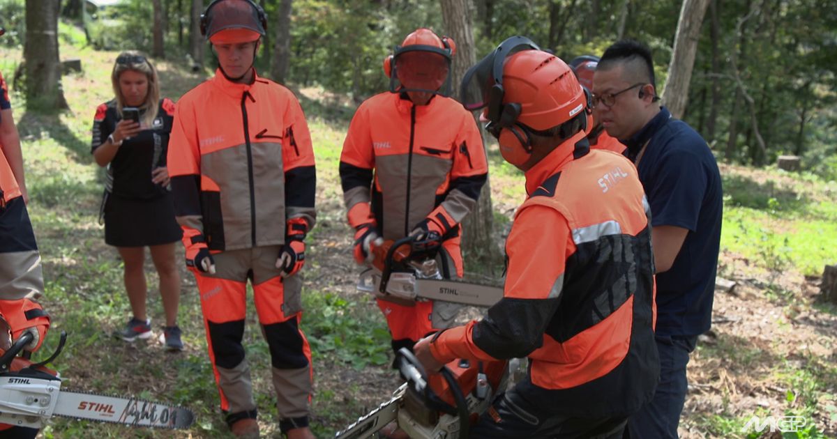 Racing for the Future: Protecting Japan's forests